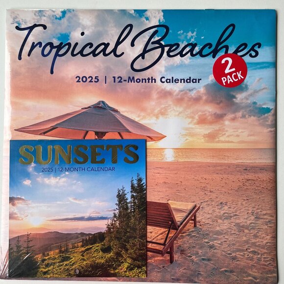 Office | 225 Wall Calendar Jan 2025dec 2025 Two Pack 12x24 New | Poshmark